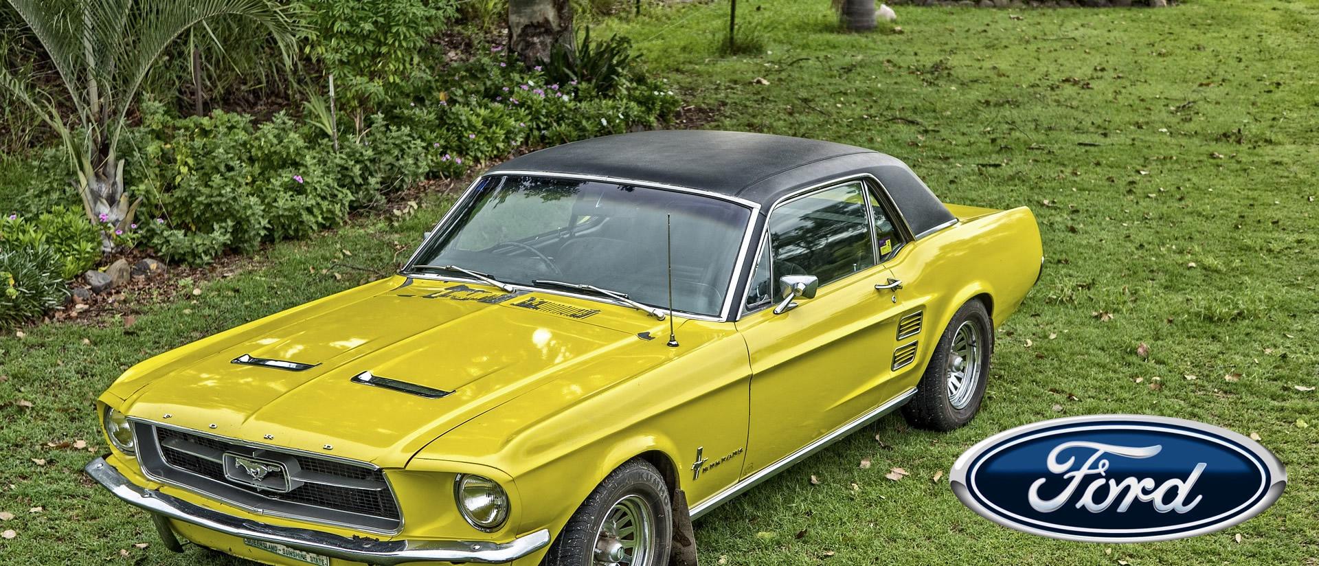 Ford Landau Vinyl Top | TopsOnline